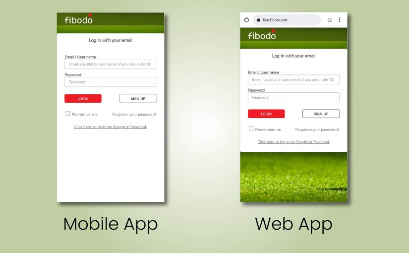 Mobile App vs Web App - Pros and Cons